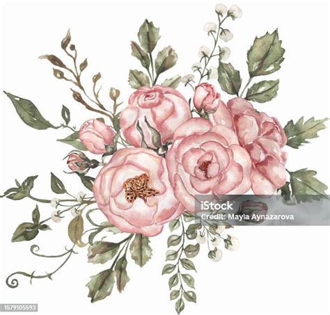 수채화 핑크 꽃 꽃다발 꽃 그림 잎과 새싹 클립 아트 결혼식 또는 인사말 카드를위한 식물 구성 녹지가있는 꽃의 가지 0명에 대한 스톡 벡터 아트 및 기타 이미지 Istock