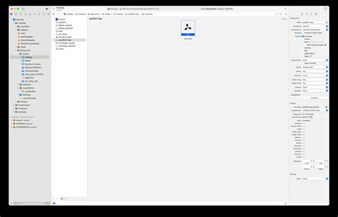 using asset catalogs for images nutrient