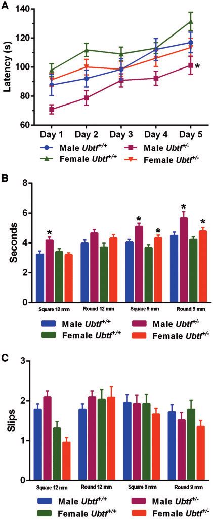 Ubtf þÀ Mice And Sex Matched Wt Littermates Were Analyzed With Rotarod Download Scientific Ubtf þÀ Mice And Sex Matched Wt Littermates Were Analyzed With Rotarod Download Scientific