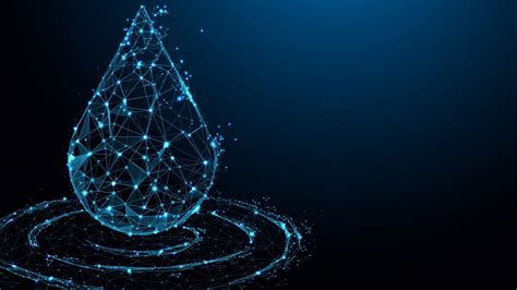 Ditto The Digital Twin Company Ditto