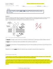 Unit FRQ Pdf Please Use A Different Color Text For Your Answers Unit FRQ Tuesday