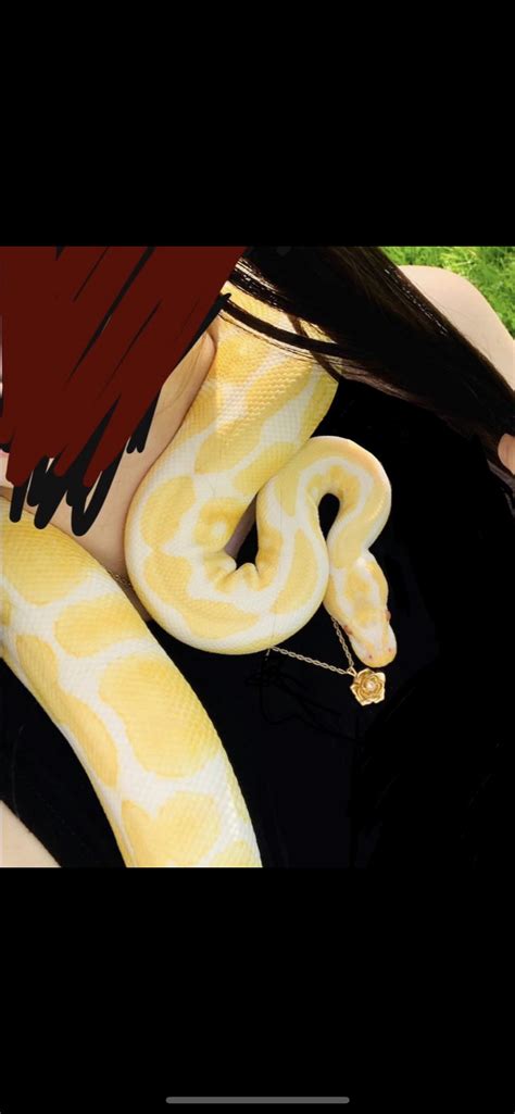 Python Lighting Help Rballpython