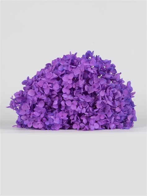 Гортензія стабілізована бузкова купити за ціною 499 грн • Dfb Elements