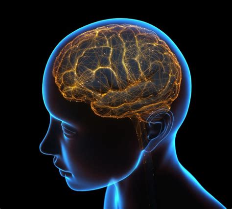 Do You Remember When New Research Challenges Traditional Model Of Memory