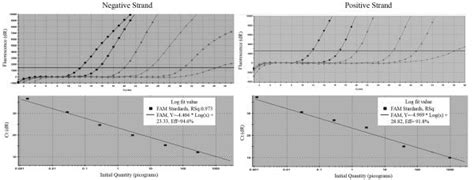 Amplification Plot And Standard Curve Of Taqman Quantitative Rt Pcr Download Scientific Diagram