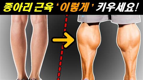 종아리 근육을 키우는 가장 효율 높은 운동은 Youtube