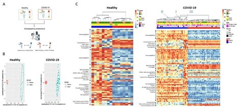 Comparative Proteomic Analyses Between Saliva And Plasma Revealed The Download Scientific