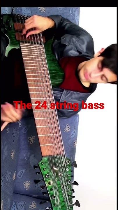 The 24 String Bass Youtube