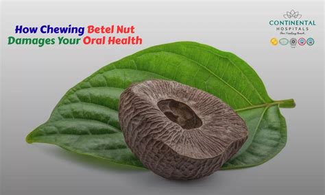 How Chewing Betel Nut Damages Your Oral Health