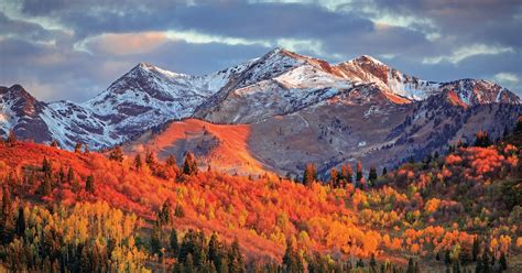 Scientifica And Technological Applications Of Sut In Biomanufacturing A Conference Report