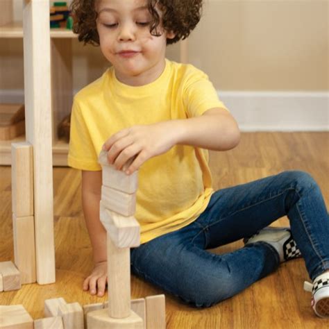 Unit Blocks Basic Classroom Sets