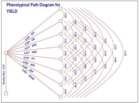 path diagram for yield as a dependent variable and its contributing