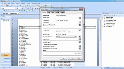Advanced Crystal Reports 2011 Tutorial Applying On Off Conditional