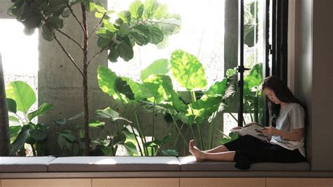 Angular Concrete Shell Encloses Interior Gardens At The Window House