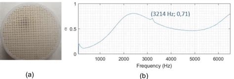 3d Printed Micro Lattice A And Fibers Resonance B Download Scientific Diagram