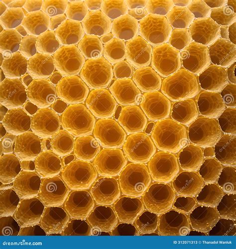 Encapsulates An Exploration Of The Intricate Molecular Structure And Dynamic Nature Of Lecithin