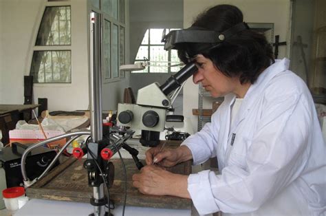 კონსერვაცია საქართველოს ეროვნული მუზეუმი