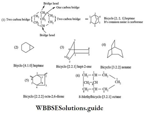 Neet General Organic Chemistry Naming Of Organic Compounds Containing A