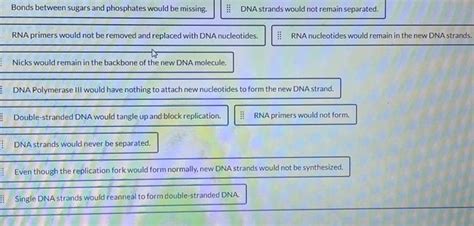 Solved Single Stranded Binding Protein No Answers Chosen