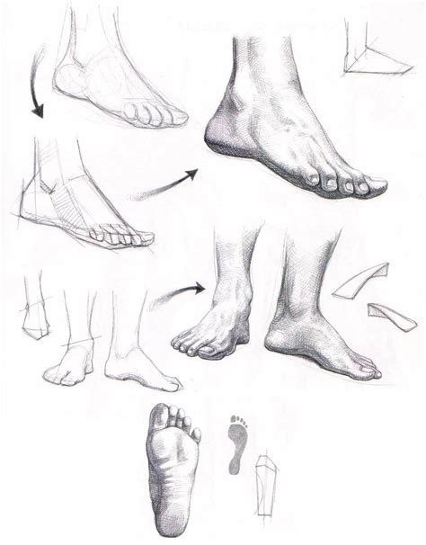 Feet Drawing Body Drawing Life Drawing Figure Drawing Pencil Art Love Pencil Art Drawings