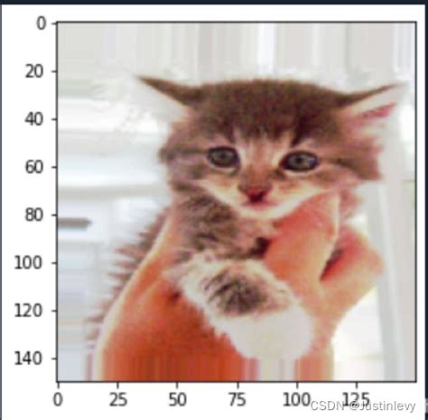 卷积神经网络实现猫狗分类 神经网络猫狗分类 csdn博客