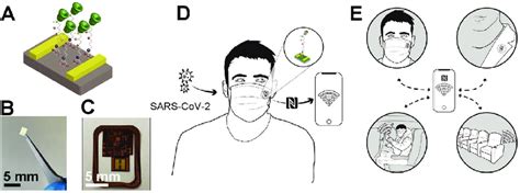 Summary Of Sars Cov 2 Biosensor And Its Applications A The Schematic Download Scientific
