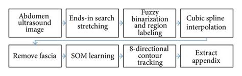 Process Of Appendix Extraction Download Scientific Diagram