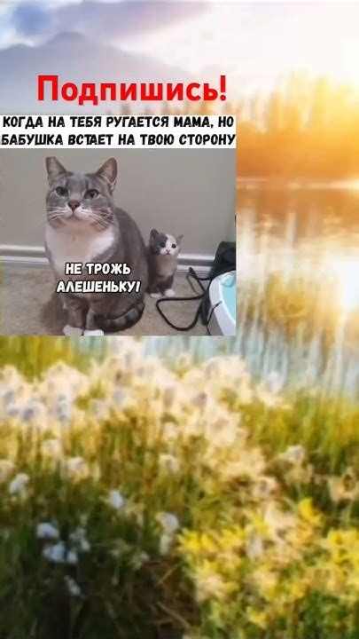 Mem Meme Memes хештег хочуврек хочувреки хочуврекомендации хочувтренды мем меме мемес