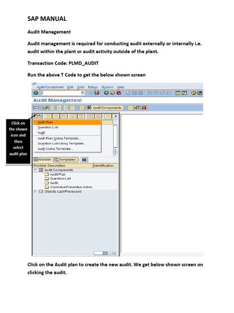 Sap Audit Management Pdf Audit Information Technology Management
