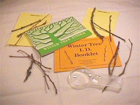 Winter Tree Identification Kit