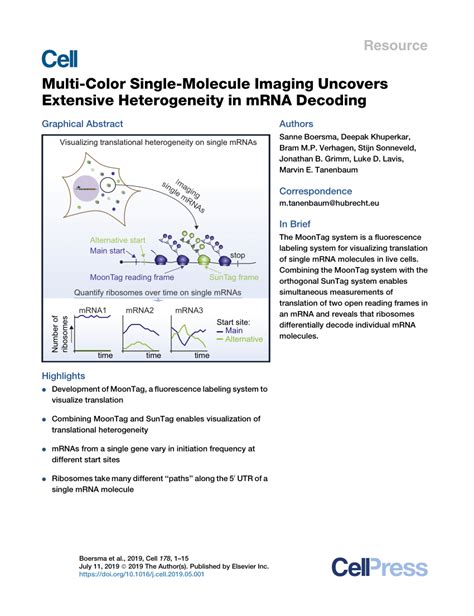 Pdf Multi Color Single Molecule Imaging Uncovers Extensive Heterogeneity In Mrna Decoding