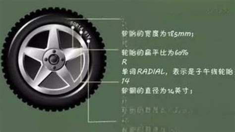 96v轮胎是什么意思 有驾