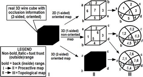 Illustrates Three Different Forms Of Projection Download Scientific