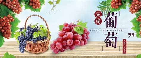 寿光葡萄苗 寿光樱桃苗 寿光市金百果品专业合作社