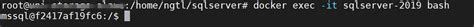 Docker安装sqlserver 已做持久化 山有扶苏QWQ 博客园