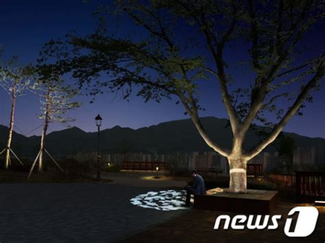 대전동구 판암공원에 친환경 야간조명 설치 파이낸셜뉴스