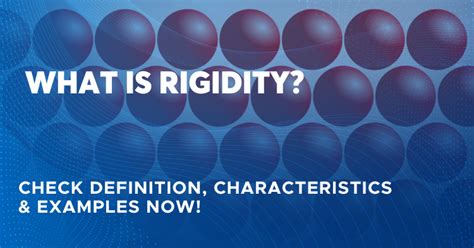 What Is Labor Market Rigidity Definition And Explanation