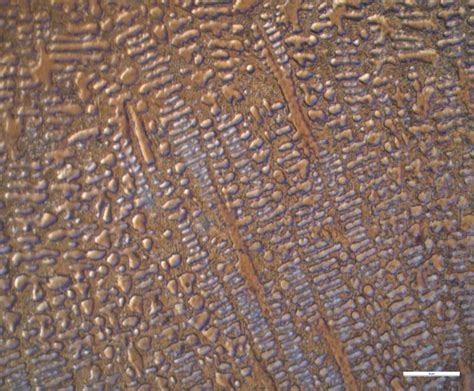 Farshad Ghadimi On Linkedin Metallurgy Metallurgy Microstructure Microstructure Cobaltbase