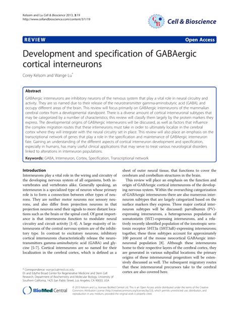 Pdf Development And Specification Of Gabaergic Cortical Interneurons