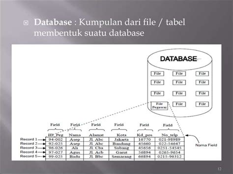Bab 2 SISTEM BASIS DATA Ppt