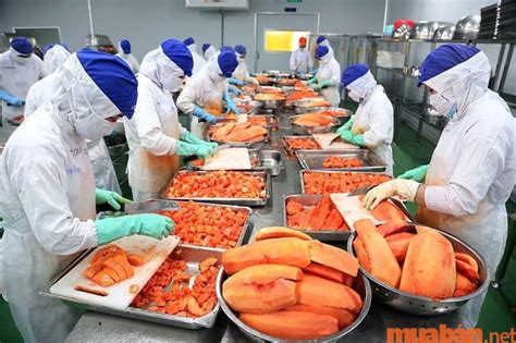 Top 6 ngành công nghiệp chế biến thực phẩm bạn nên biết