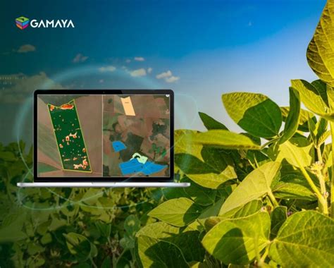 Romanian Researchers Unlock Microalgaes Bioactive Potential For Green Economy Agritech Insights