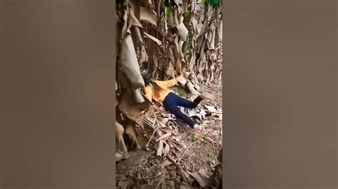 Mina Ka Funny Facts Funny Hindi Comedy Shorts Viralvideo Video