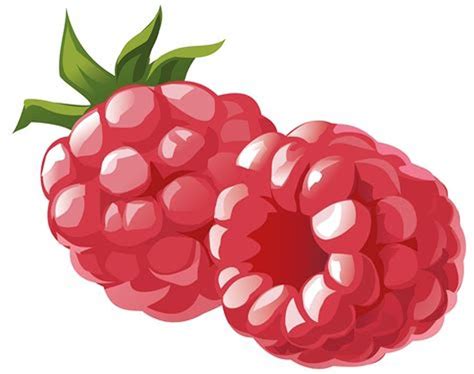 Малина картинка для детей