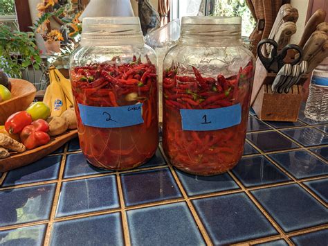 Batch 22 Hot Sauce Entry 5 Sages Acre