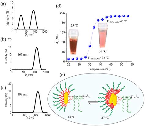 Surface Modification Of Gold Nanorods Gnrds Using Double Thermo Responsive Block Copolymers