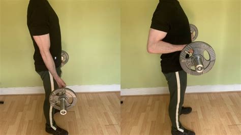 Spider Curl Alternatives And Substitutes