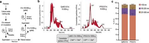 A Differential Evs Isolation Protocol B Concentration And Size Of Evs
