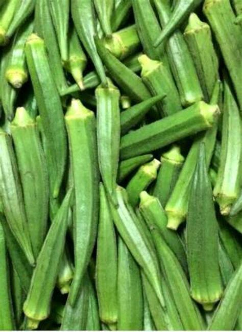 Piyushkumar Patel On Linkedin Freshokra Import Export