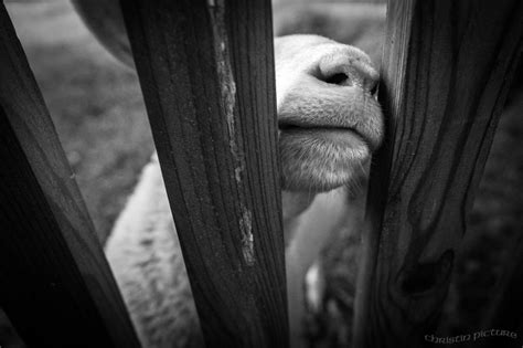 Please Chrissel Blipfoto